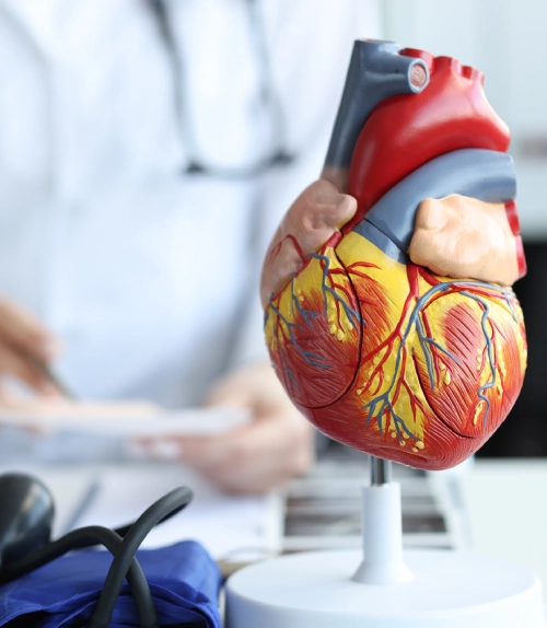 Cardiología en Mérida, Yucatán - Dr. Luis Augusto Baeza Herrera